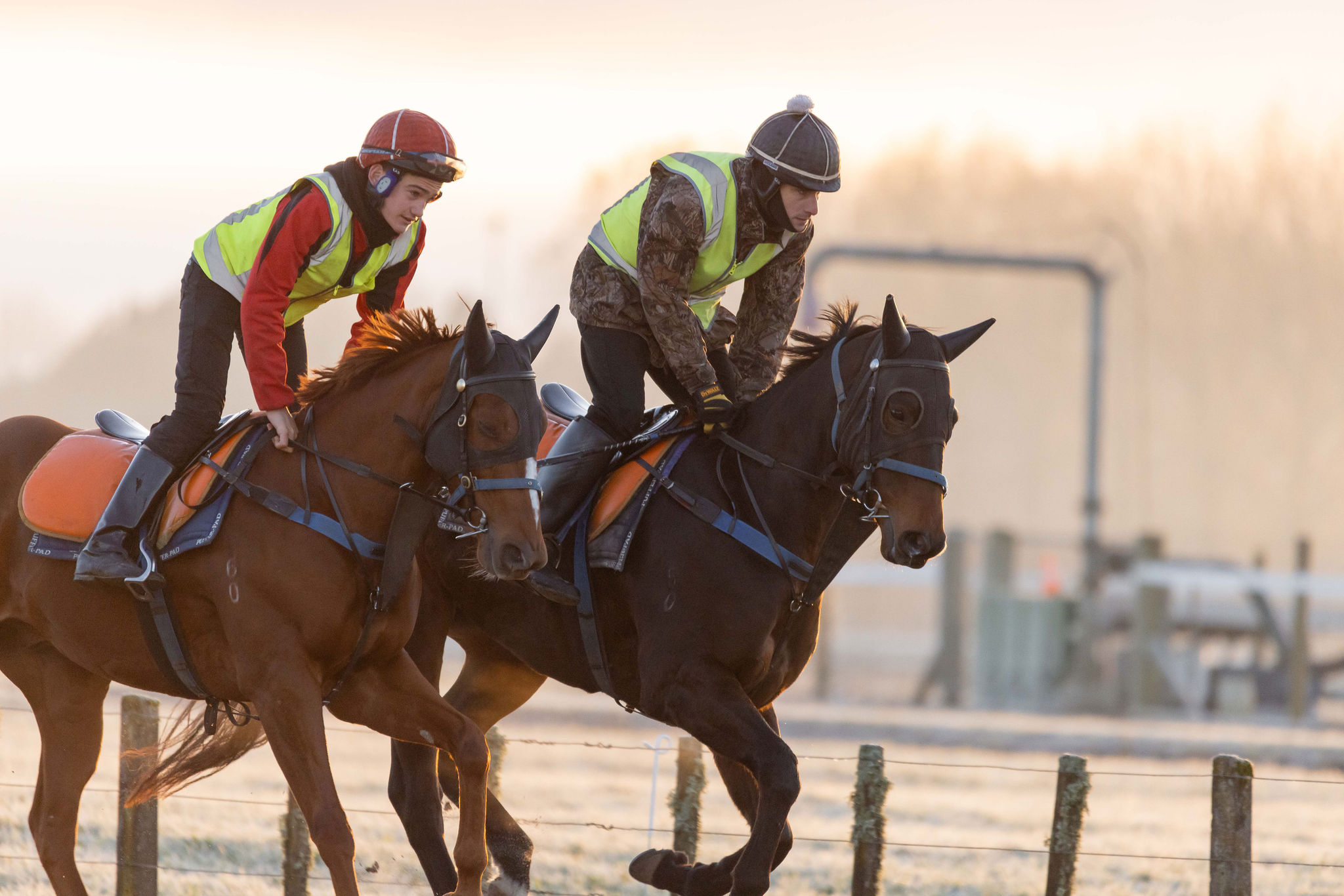 Trackwork Riding Skills & Safety - LOVERACING.NZ Careers