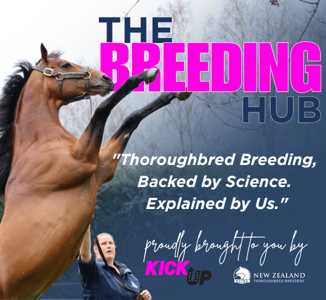 NZ Thoroughbred Industry Careers